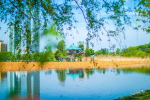 13 Awesome Things to do in the Ueno Park, the Best Park in Tokyo - The ...