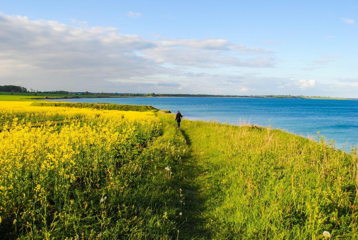 The Ultimate Guide to Exploring the Natural Beauty of Ærø Island ...