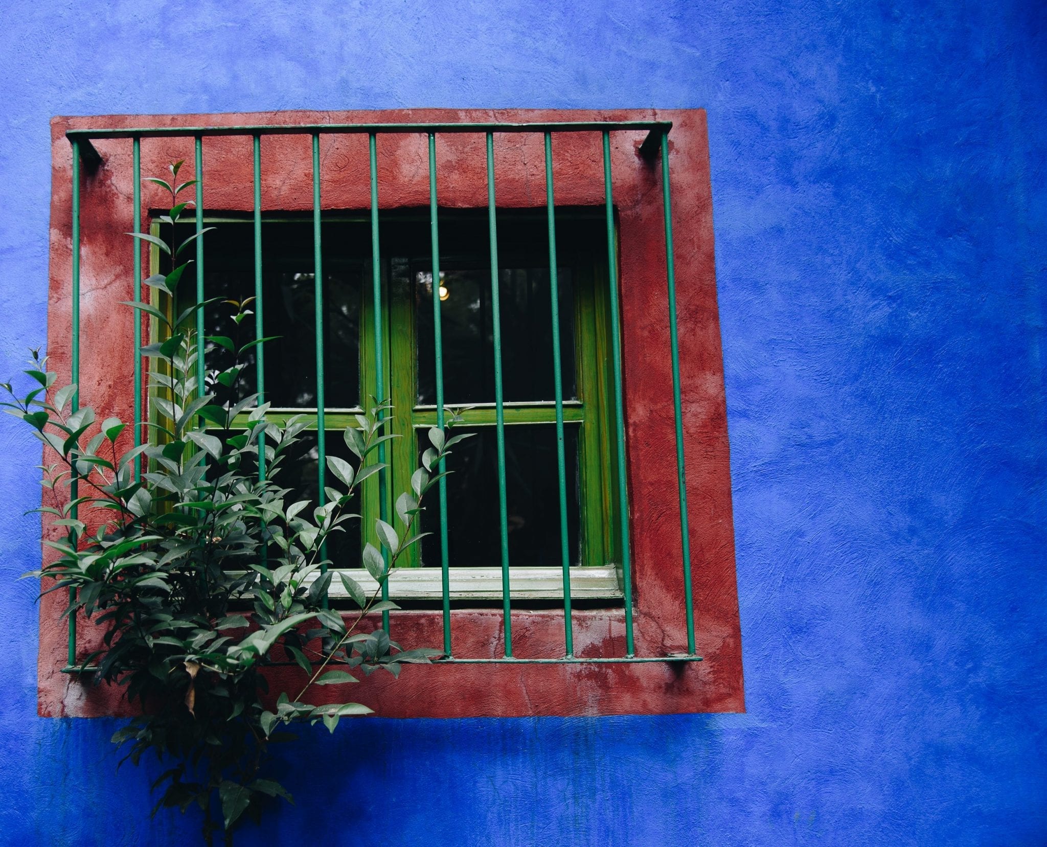 The Ultimate Self-Guided Tour of Frida Kahlo's Casa Azul Museum - The ...