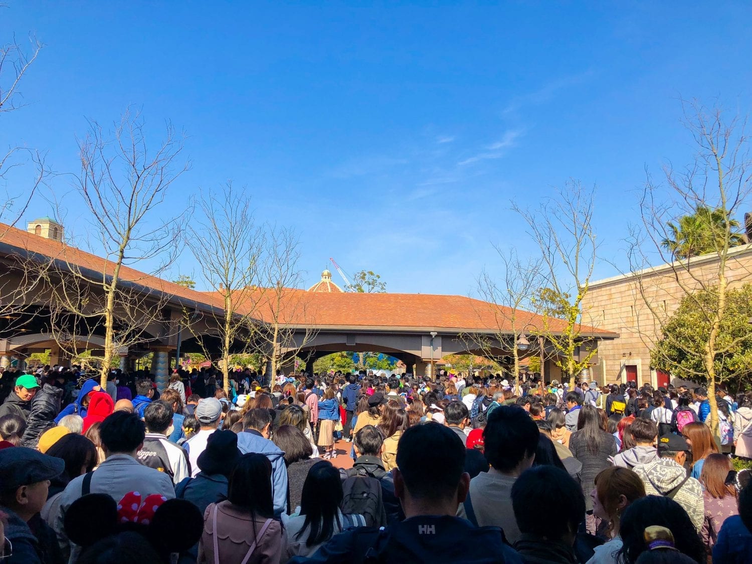 The Ultimate Guide to Your First Visit at Tokyo DisneySea - The ...
