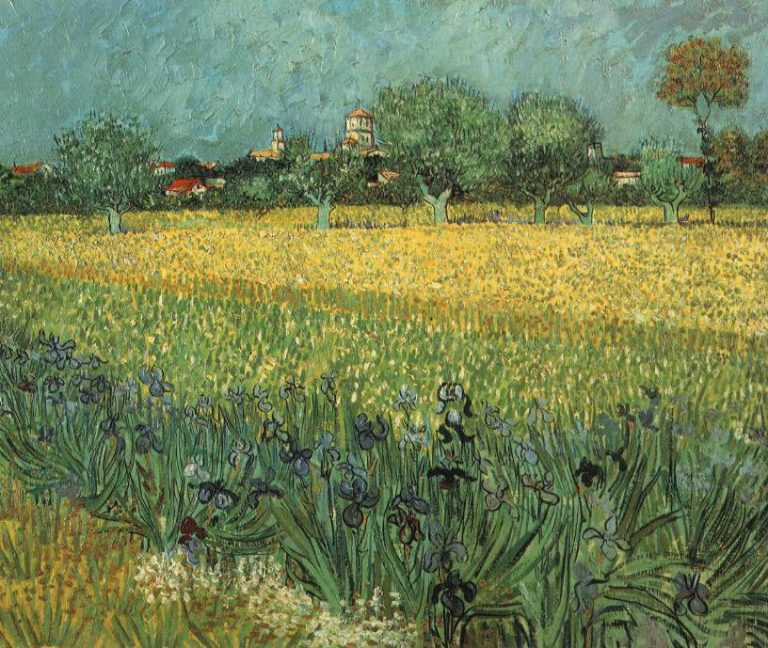 The Ultimate Self Guided Walking Tour of Arles, in the Footsteps of Van ...
