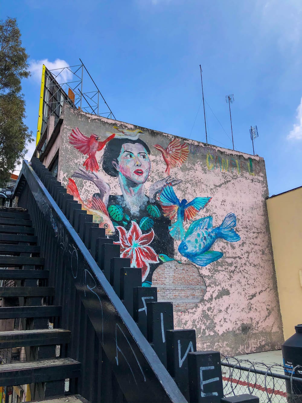 Ultimate Self Guided Tour of La Condesa, Mexico City - The Creative ...