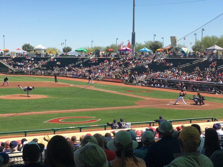 The Ultimate Guide to Cactus League Baseball Phoenix Spring Training ...