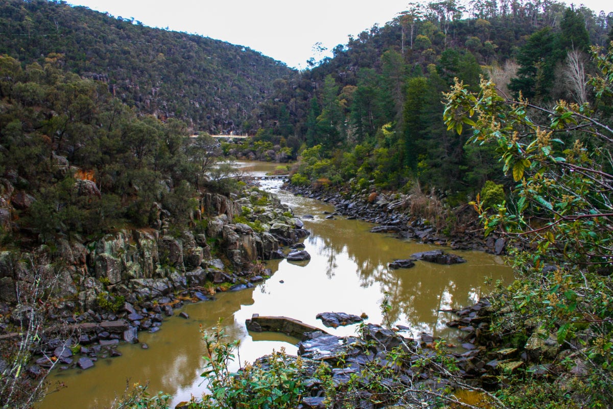 11 Amazing Things to See and Do in Launceston, Tasmania - The Creative ...