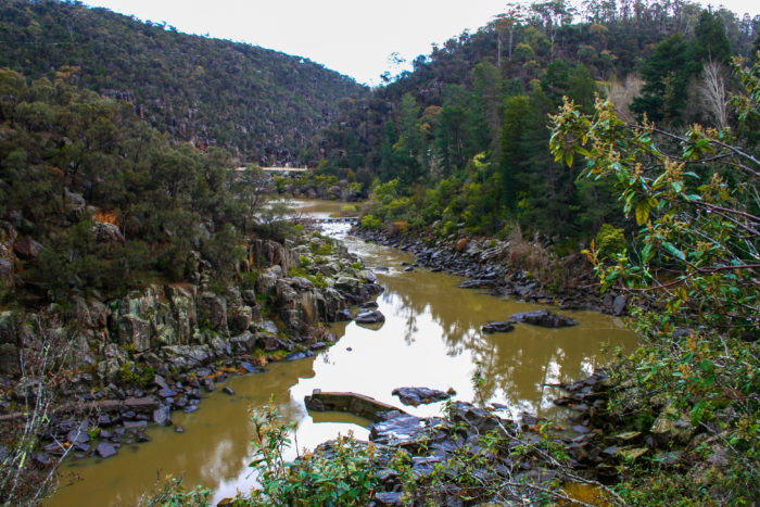 11 Amazing Things to See and Do in Launceston, Tasmania - The Creative ...