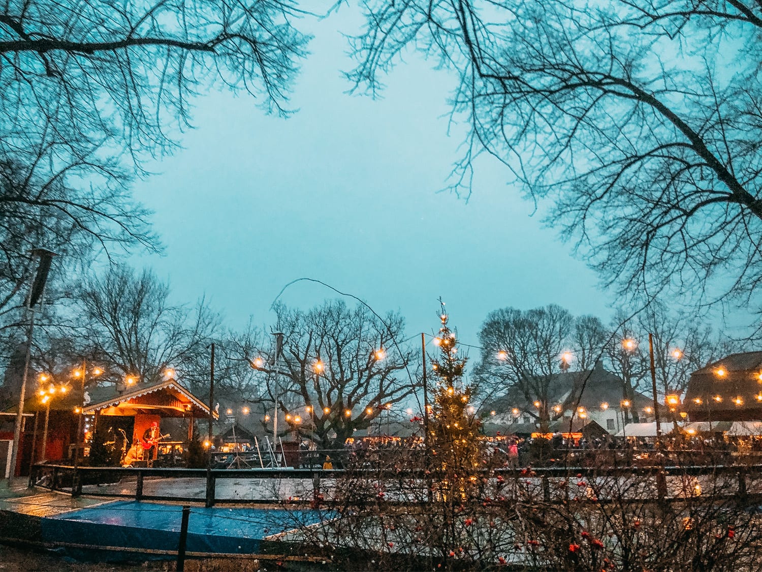 Why You Need to Visit Skansen's Historic Christmas in Stockholm | The ...