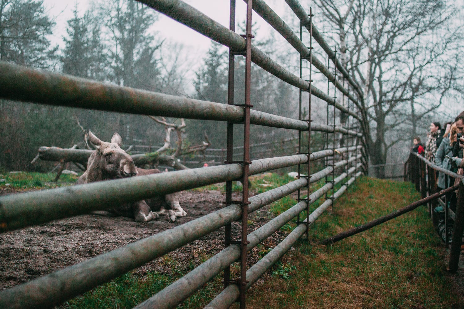 Why You Need to Visit Skansen's Historic Christmas in Stockholm | The ...