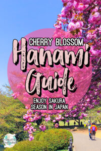 Uncover the Magic of Japan’s Cherry Blossoms: A Hanami Guide to the ...