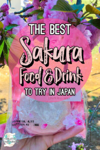 The Best Sakura Food and Drinks to try in Japan - The Creative Adventurer