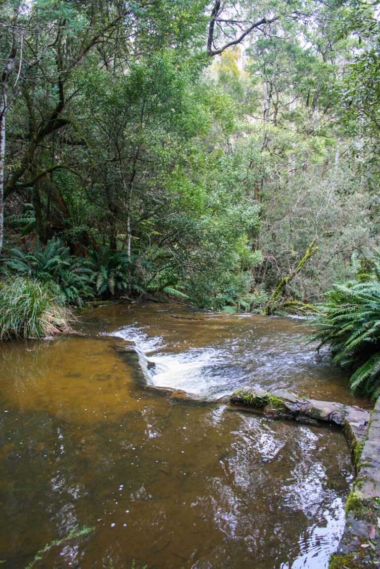 Discover the Best of Tasmania in One Week: Your Ultimate Itinerary ...