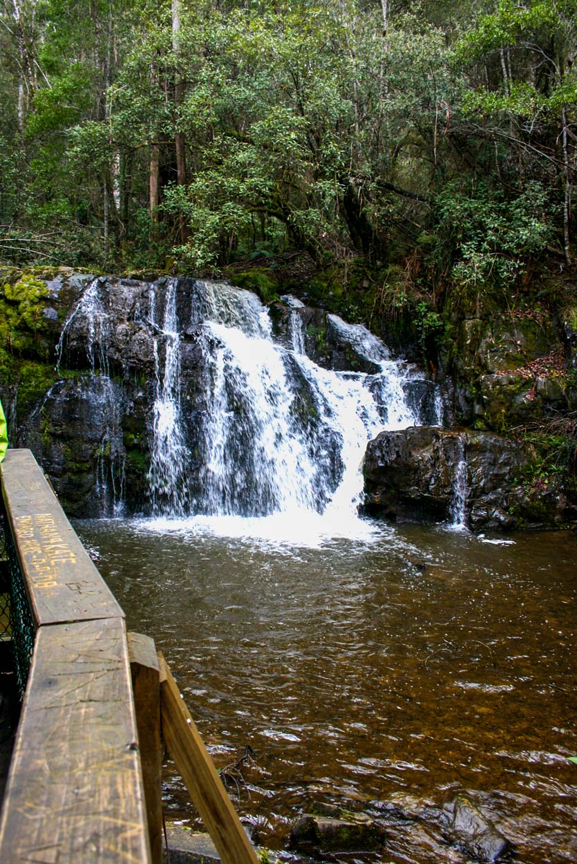 Discover the Best of Tasmania in One Week: Your Ultimate Itinerary ...