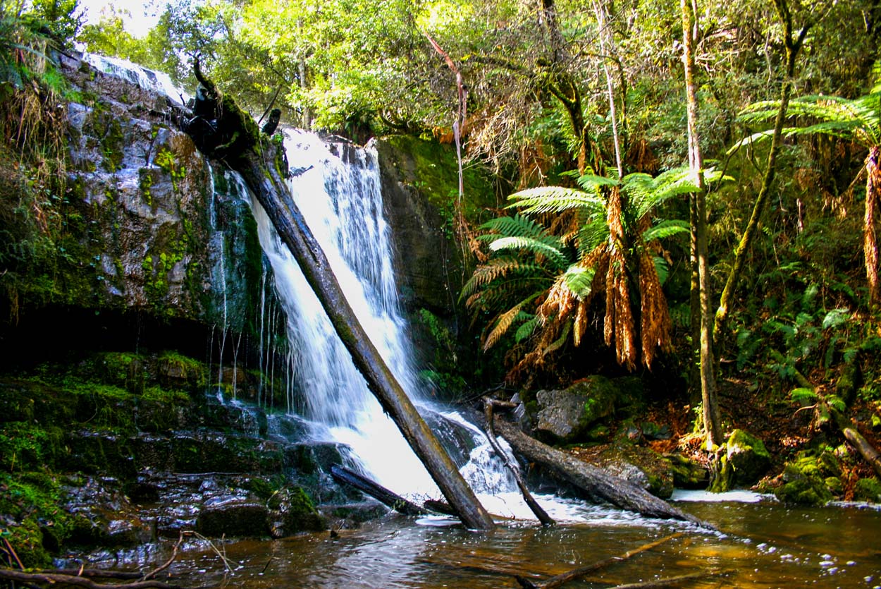 Discover the Best of Tasmania in One Week: Your Ultimate Itinerary ...