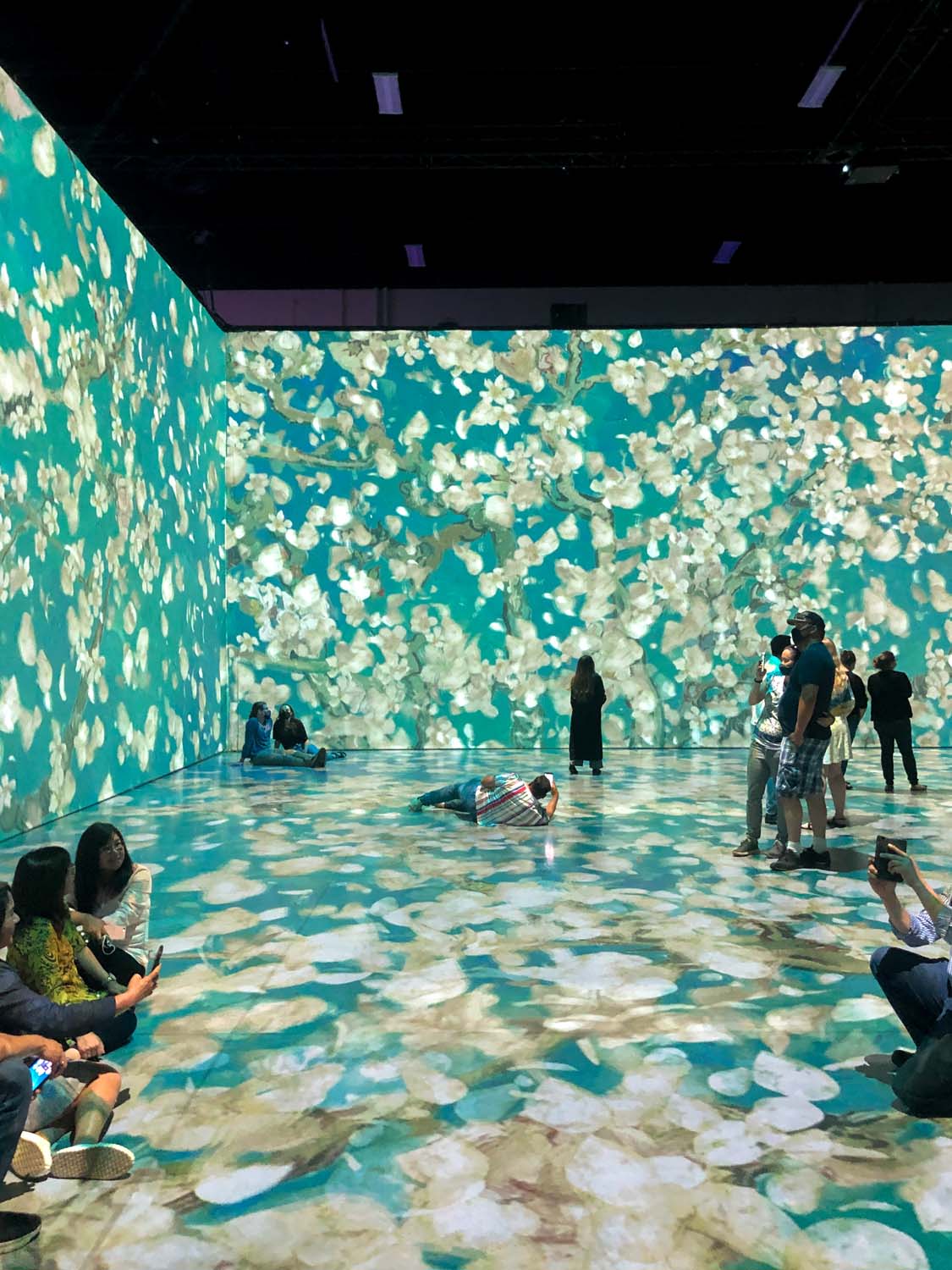 Everything You Need About Beyond Van Gogh’s Unforgettable Immersive ...