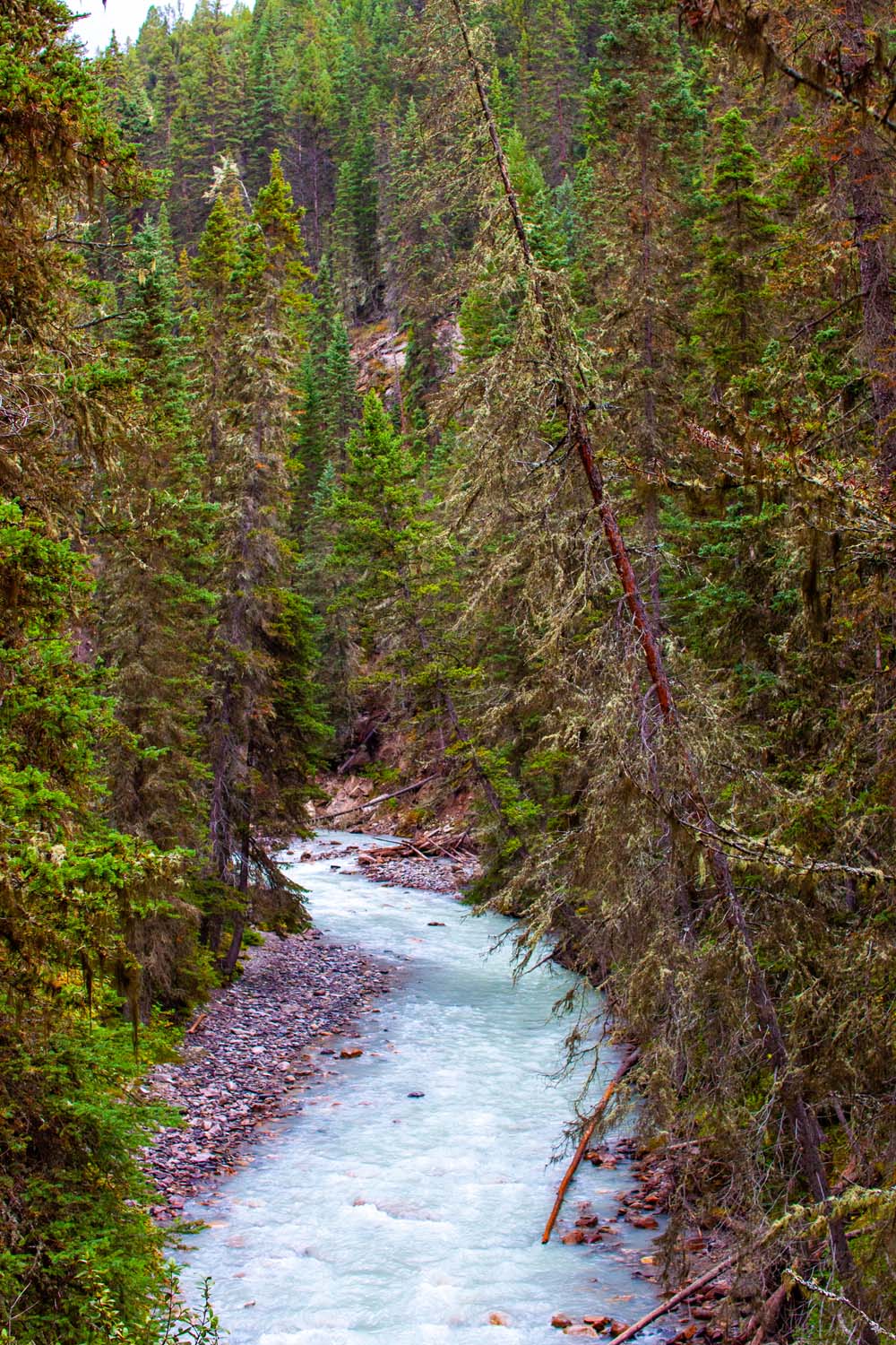 The Easy & Essential Guide to Hiking Johnston Canyon in Banff National ...