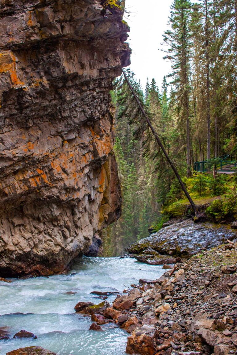 The Easy & Essential Guide to Hiking Johnston Canyon in Banff National ...