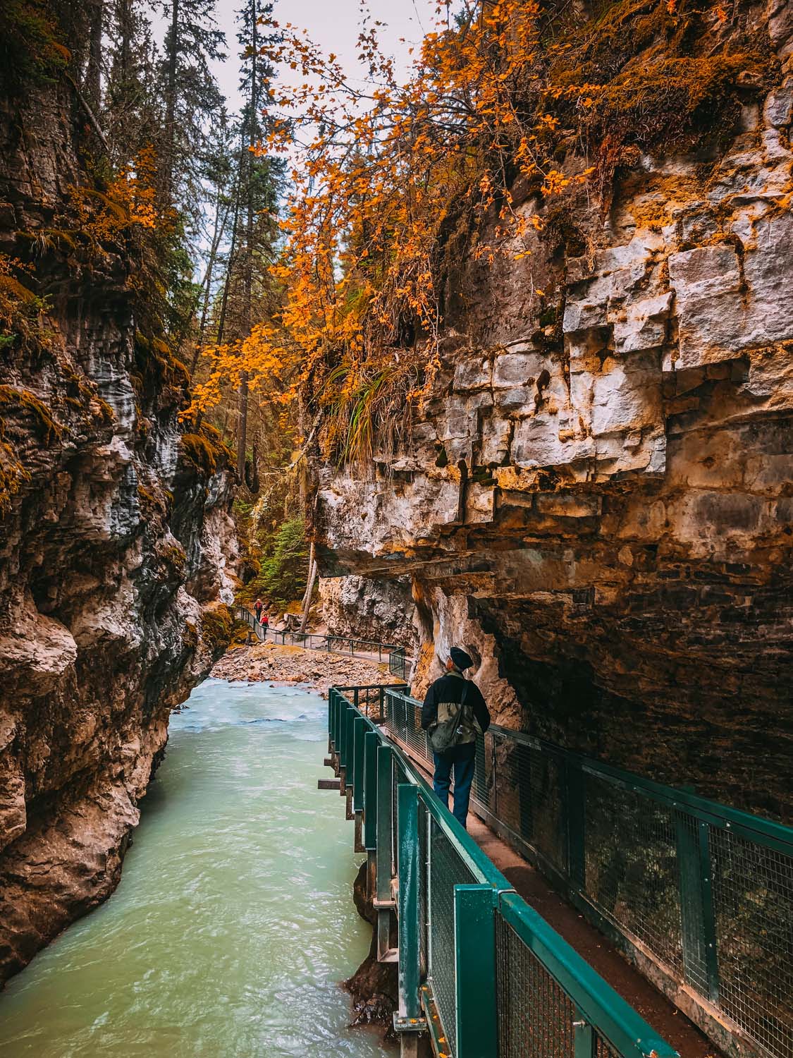 The Easy & Essential Guide to Hiking Johnston Canyon in Banff National ...