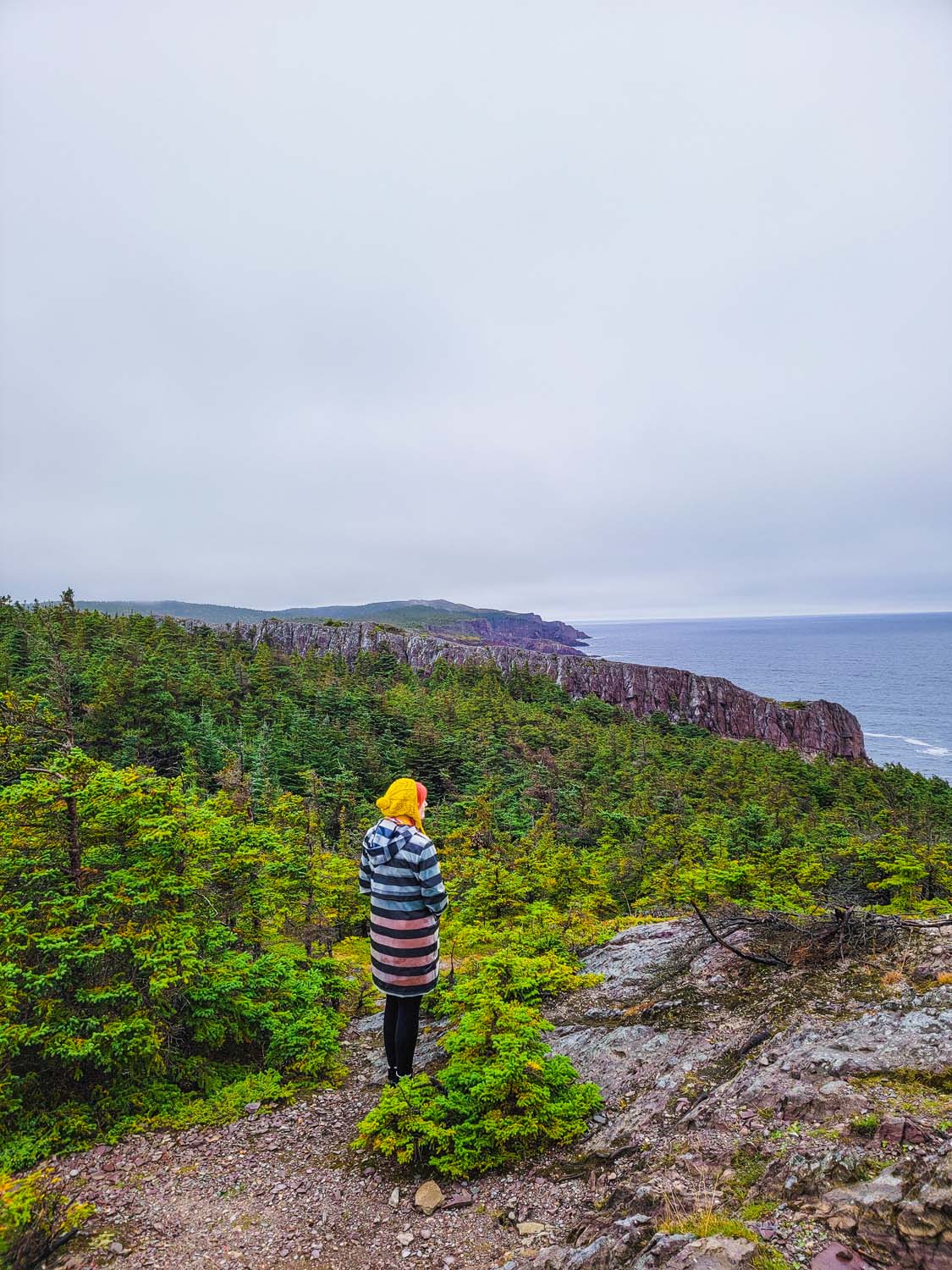 Best Lighthouse Hikes in Newfoundland and Labrador: The Ultimate Guide ...