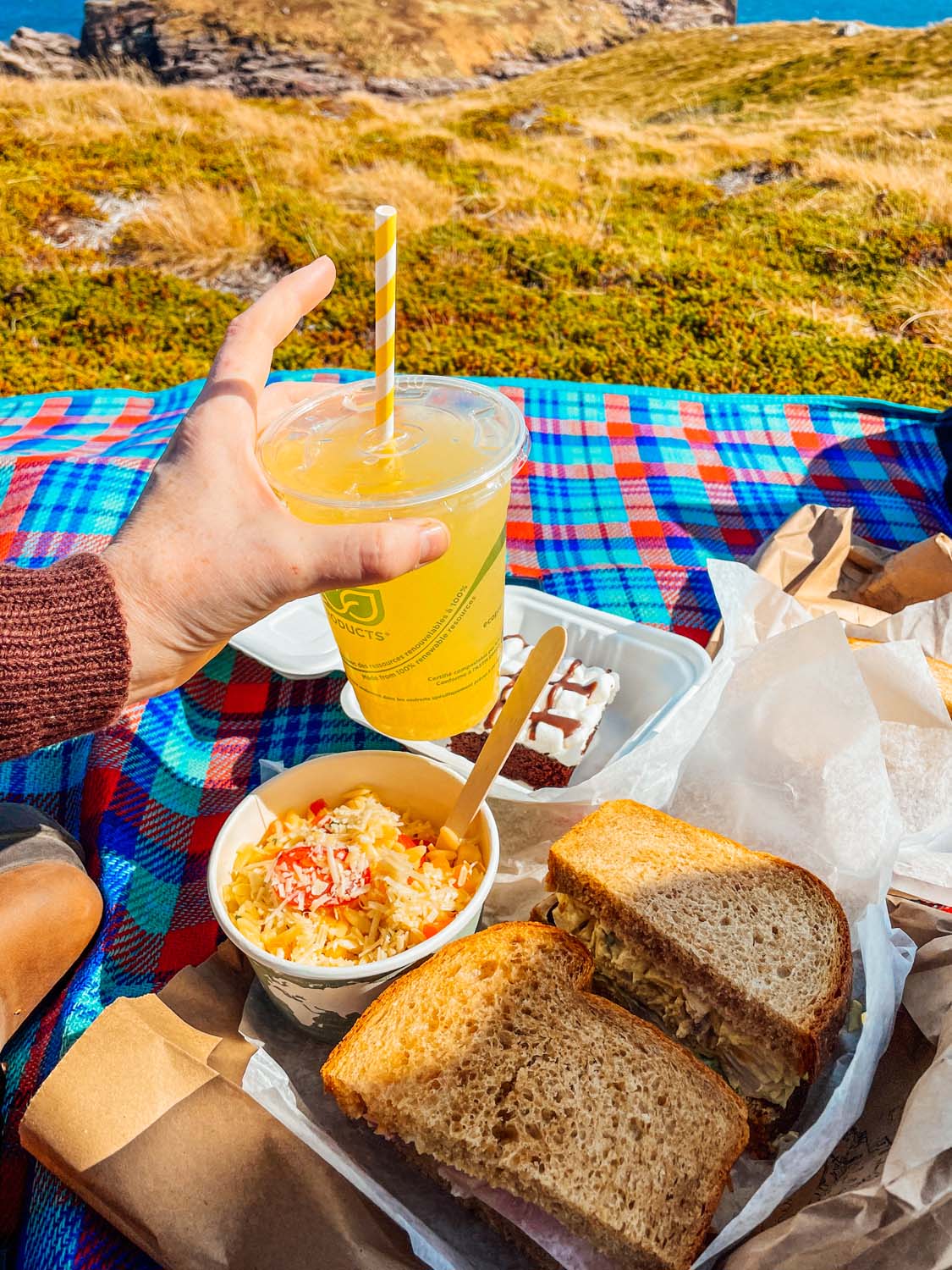 Best Lighthouse Hikes in Newfoundland and Labrador: The Ultimate Guide ...