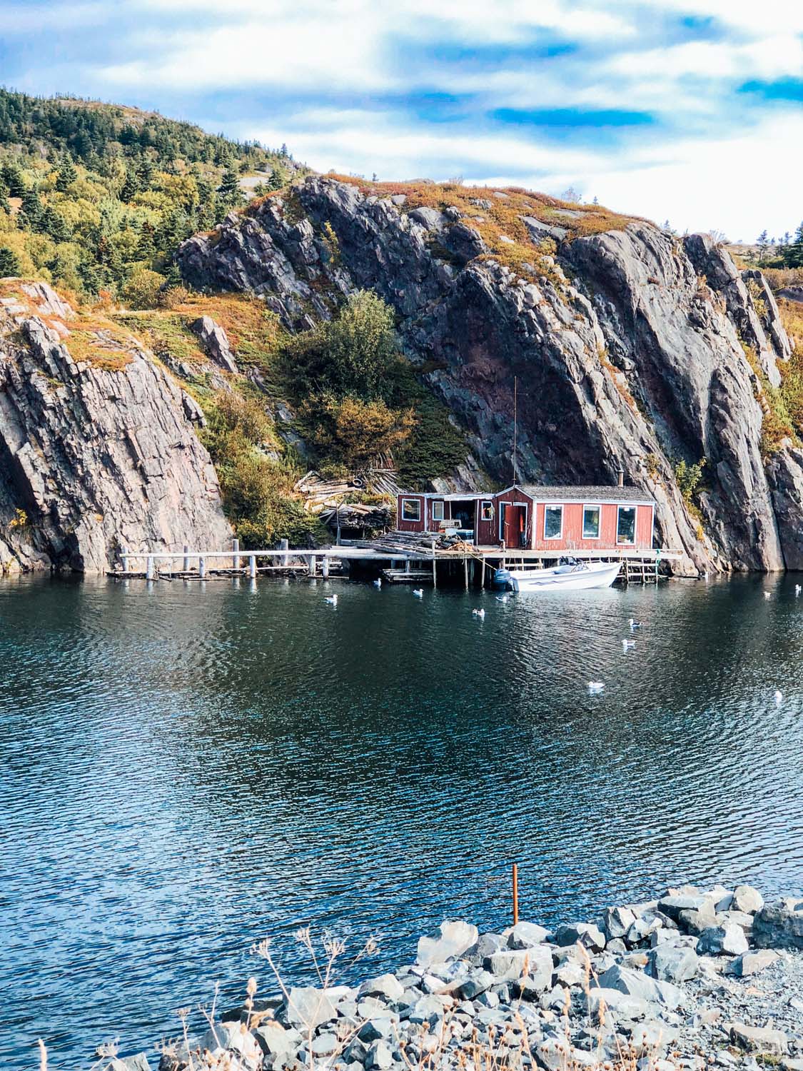 The Ultimate Quidi Vidi Newfoundland Travel Guide: See, Do & Eat - The ...