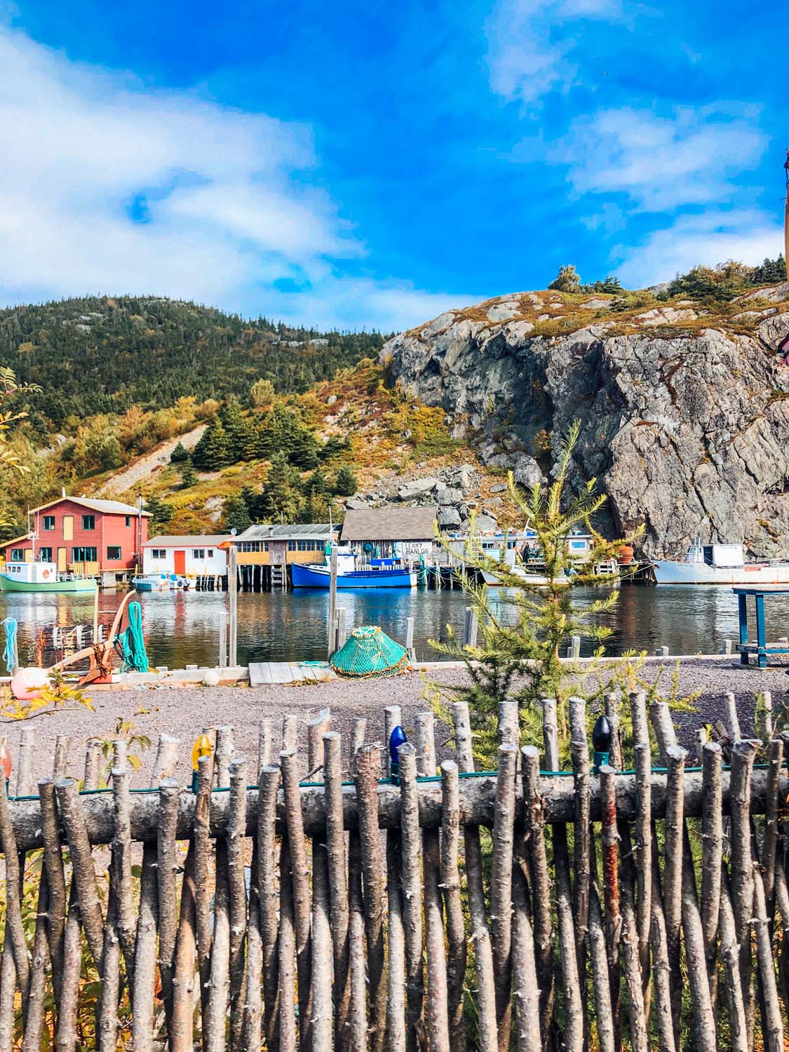 The Ultimate Quidi Vidi Newfoundland Travel Guide: See, Do & Eat - The ...