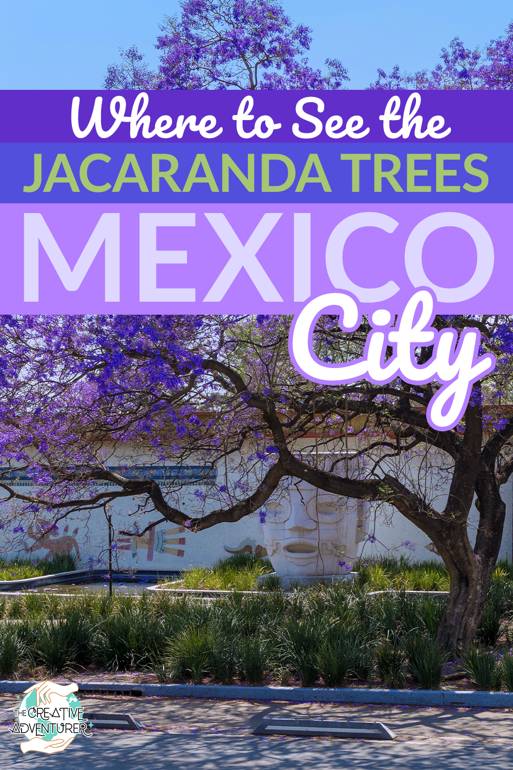 The Ultimate Guide to Seeing the Jacaranda Trees in Mexico City - The ...