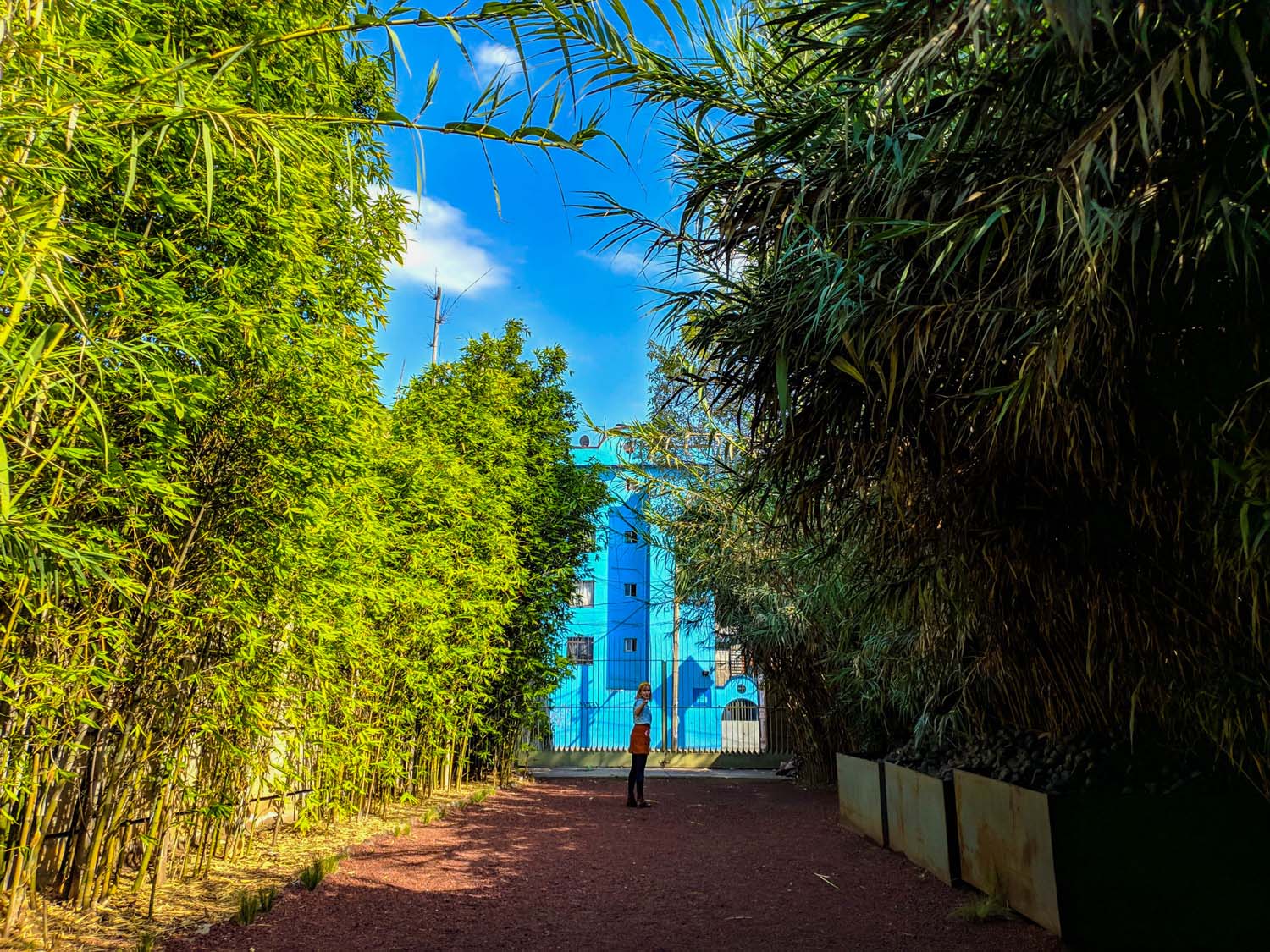 Ultimate Guide to Colonia Santa María la Ribera, Cultural Gem of Mexico ...