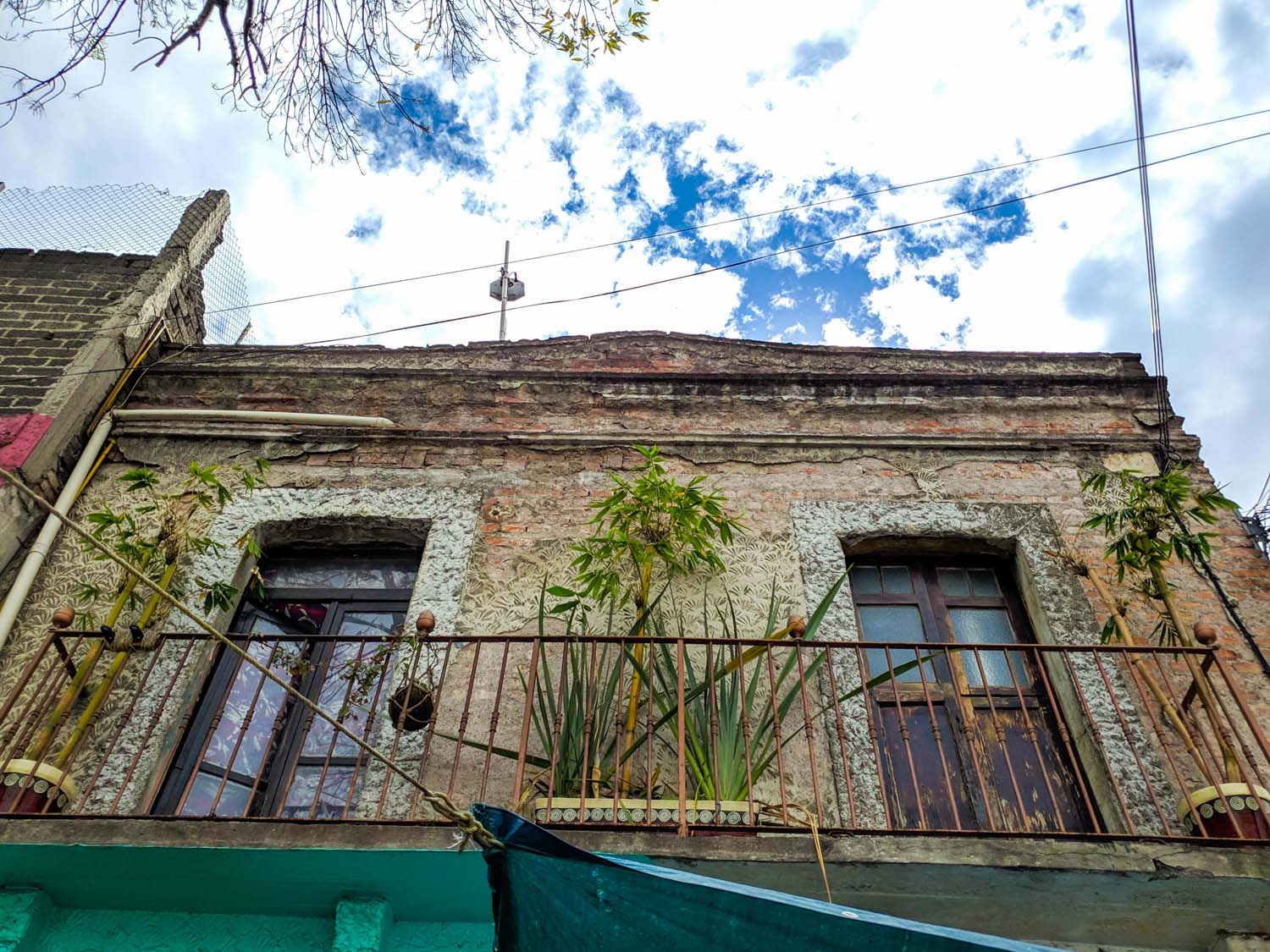 The Ultimate Guide to Roma Sur Mexico City Walking Tour - The Creative ...