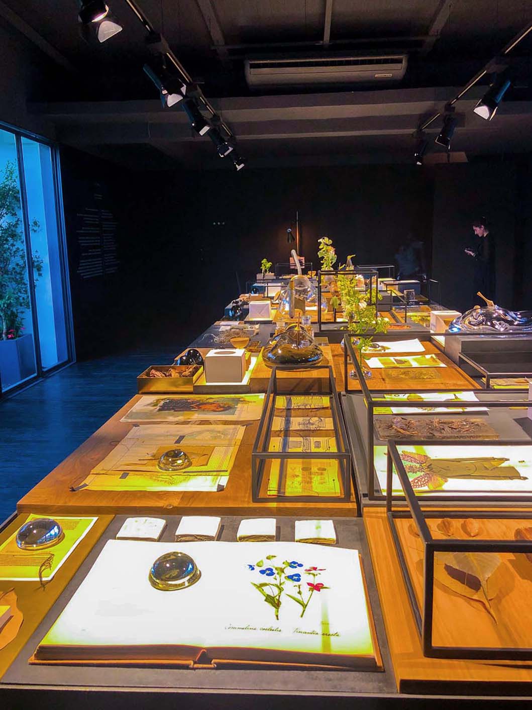 Self Guided Walking Tour of the Upscale Streets of Polanco: The City’s ...