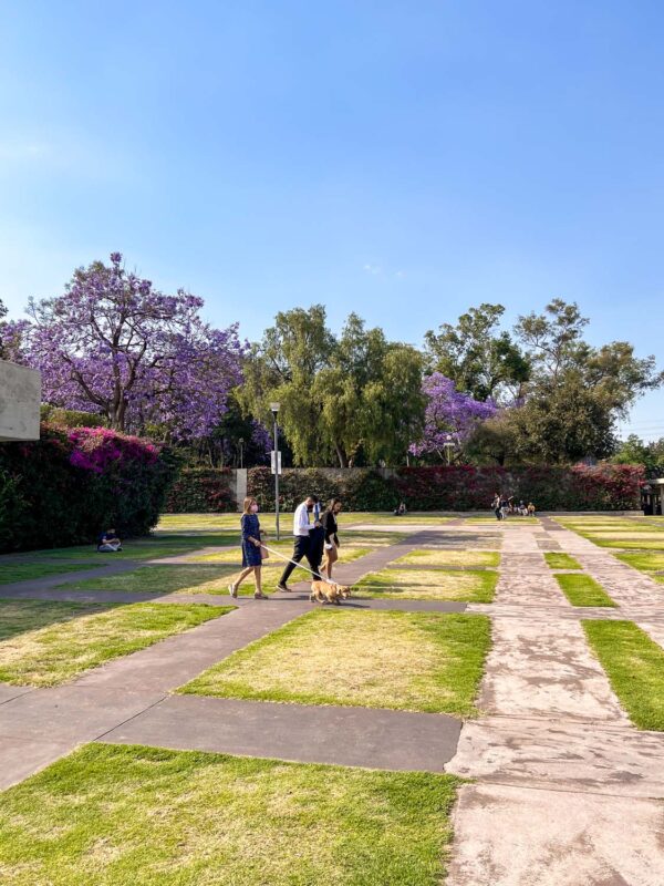 The Ultimate Guide to the Architectural Wonders of UNAM Campus in ...
