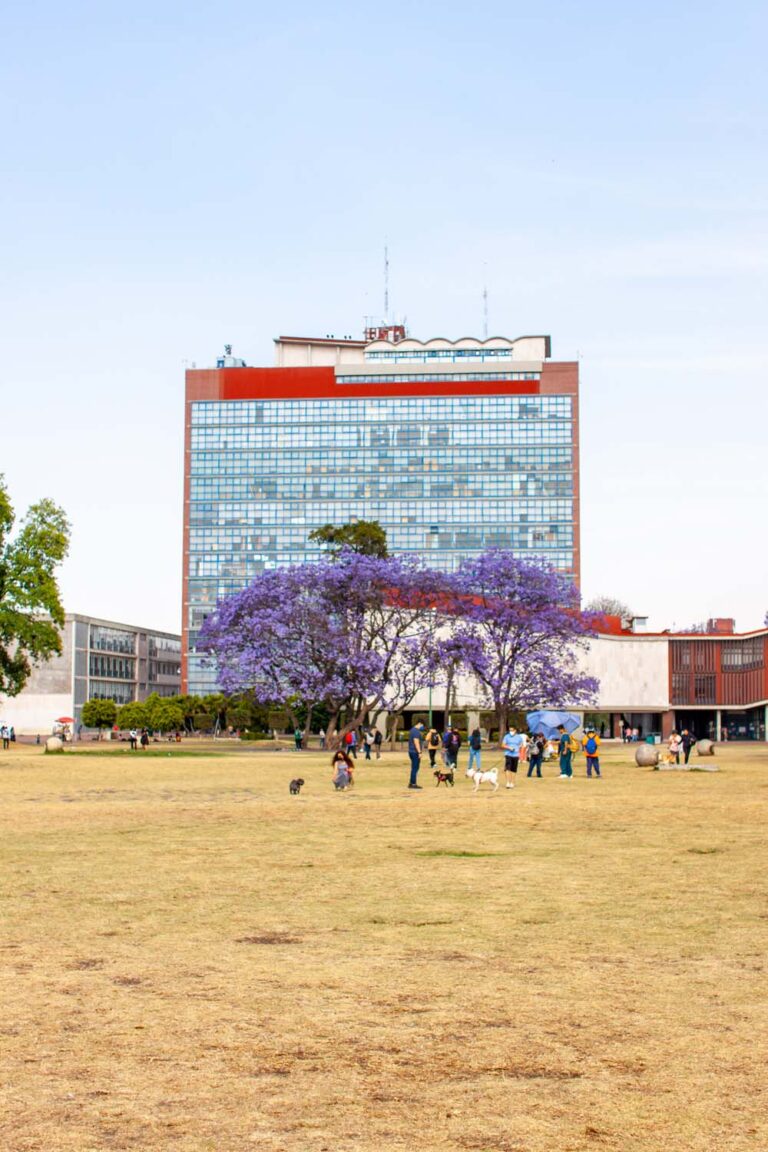 The Ultimate Guide to the Architectural Wonders of UNAM Campus in ...