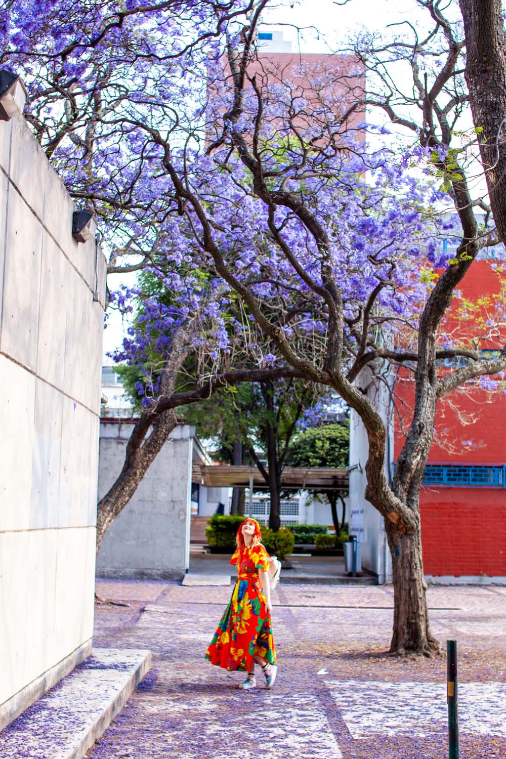 The Ultimate Guide to the Architectural Wonders of UNAM Campus in ...