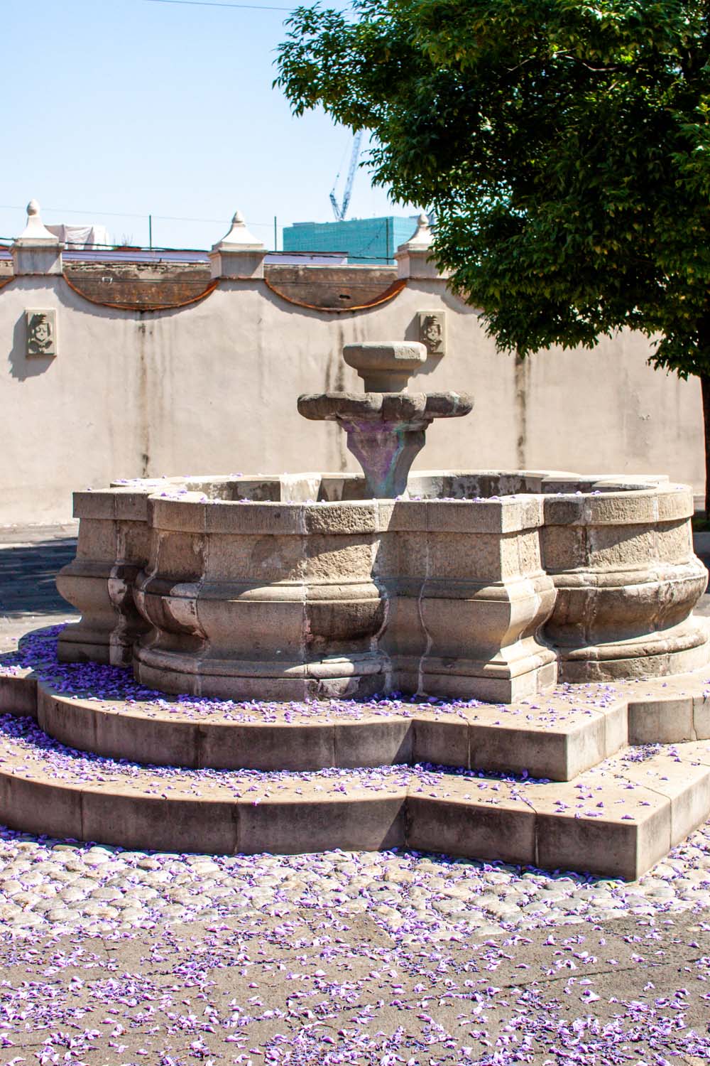 The Ultimate Guide to the Artistic and Creative Corners of San Angel ...