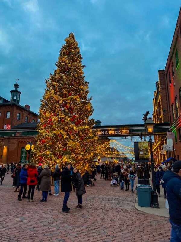 14 Amazing Festive Events You Can’t Miss in Toronto this Christmas ...