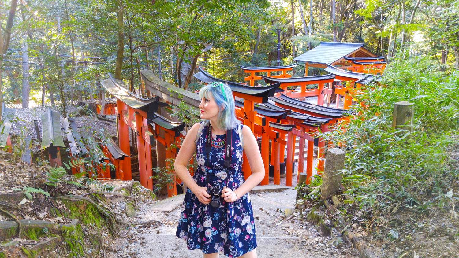12 of the Most Instagrammable Spots to see in Kyoto - The Creative ...