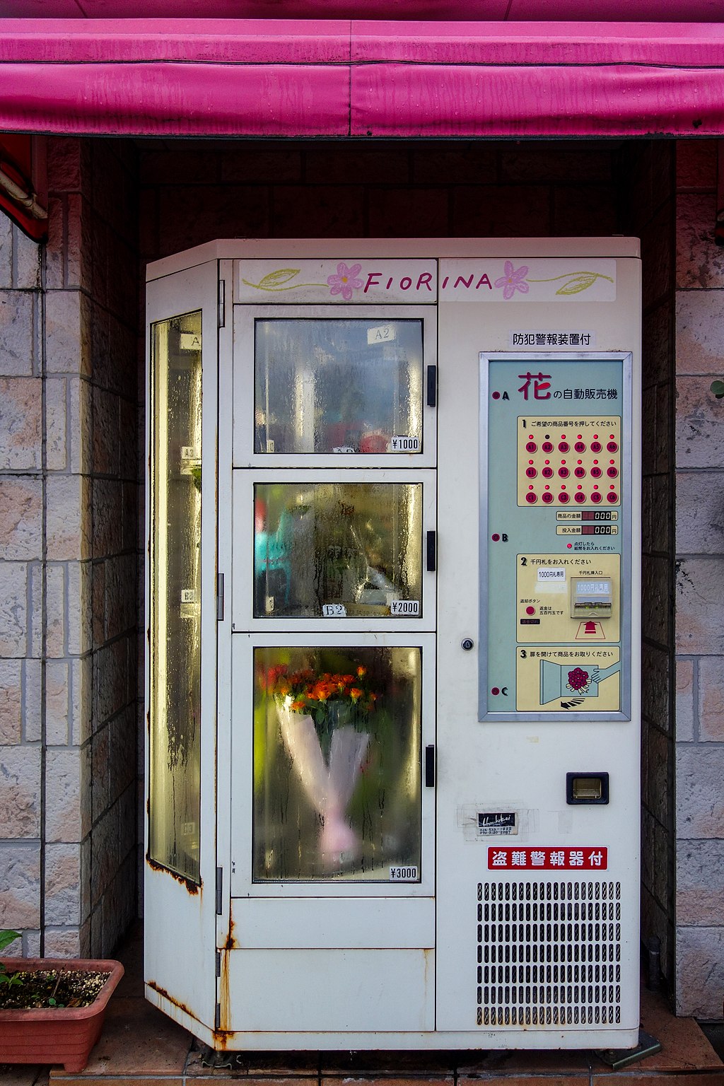 Amazing Vending Machines You Won’t Believe Exist in Japan - The ...