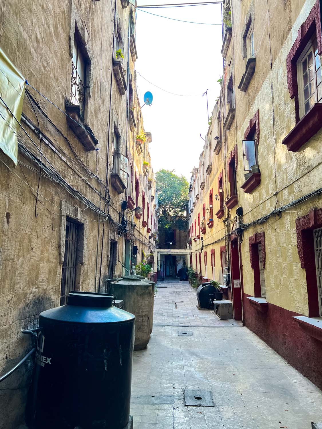 Ultimate Self-Guided Tour of Trendy Roma Norte in Mexico City - The ...