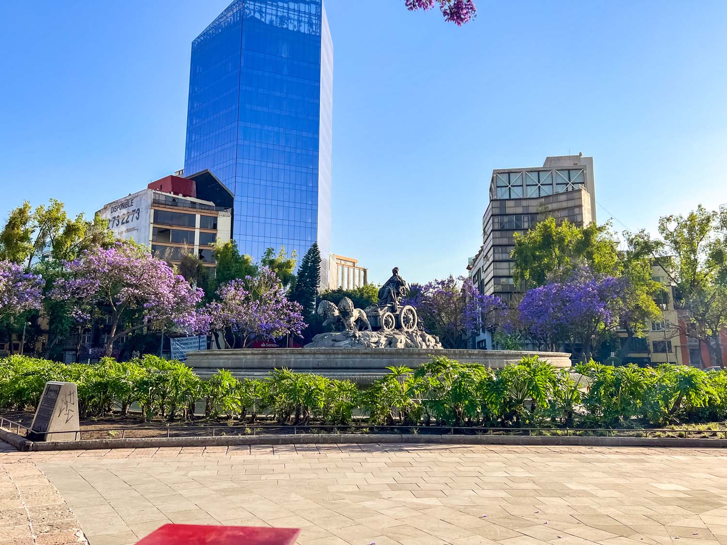 Ultimate Self-Guided Tour of Trendy Roma Norte in Mexico City - The ...