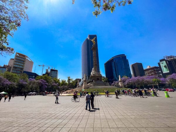 The Ultimate Guide to Seeing the Jacaranda Trees in Mexico City - The ...