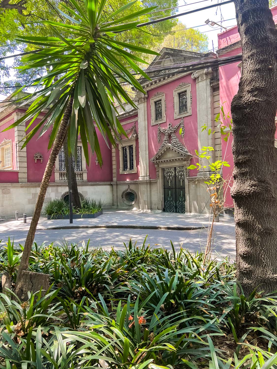 Ultimate Self-Guided Tour of Trendy Roma Norte in Mexico City - The ...