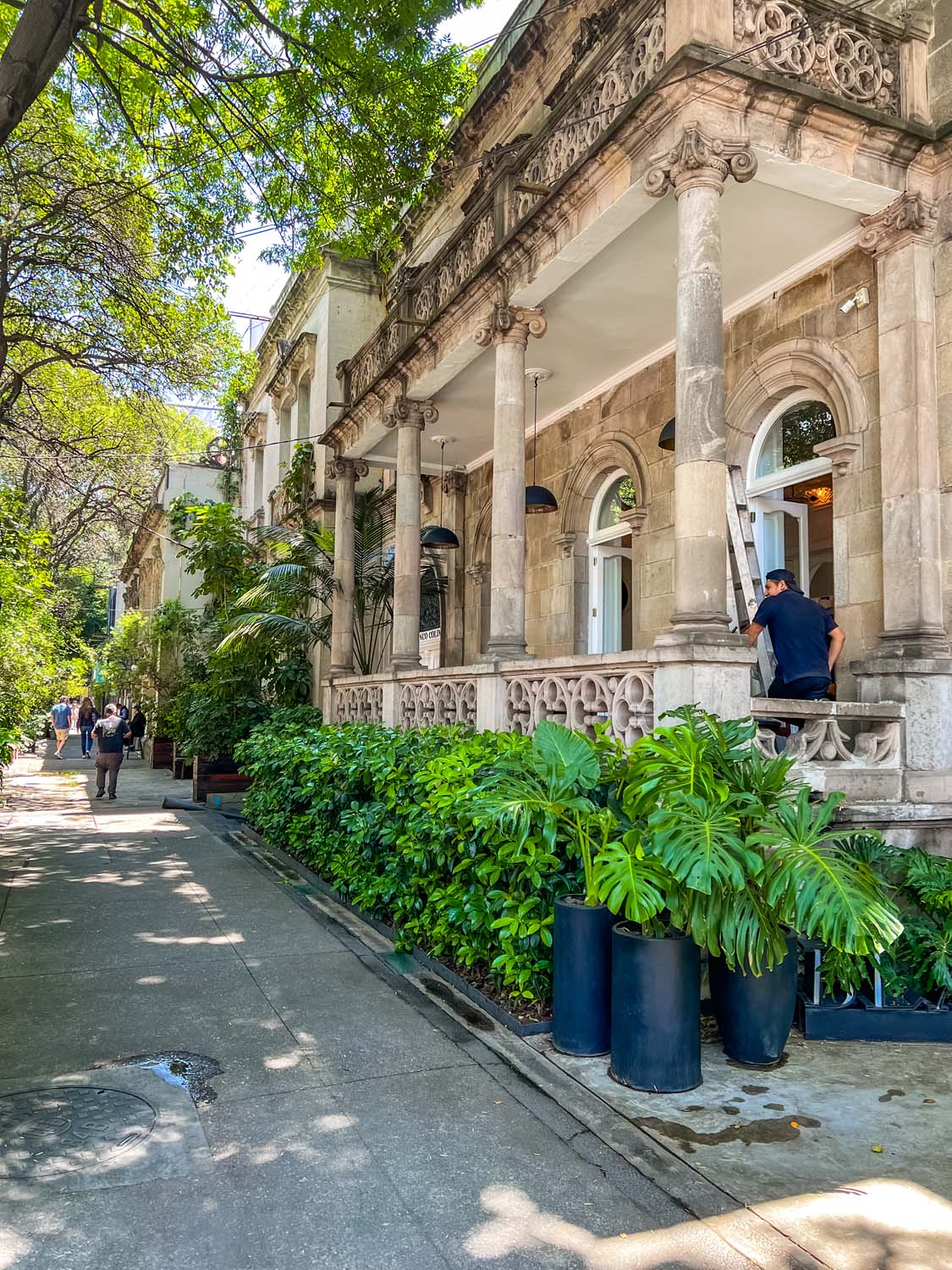 Ultimate Self-Guided Tour of Trendy Roma Norte in Mexico City - The ...