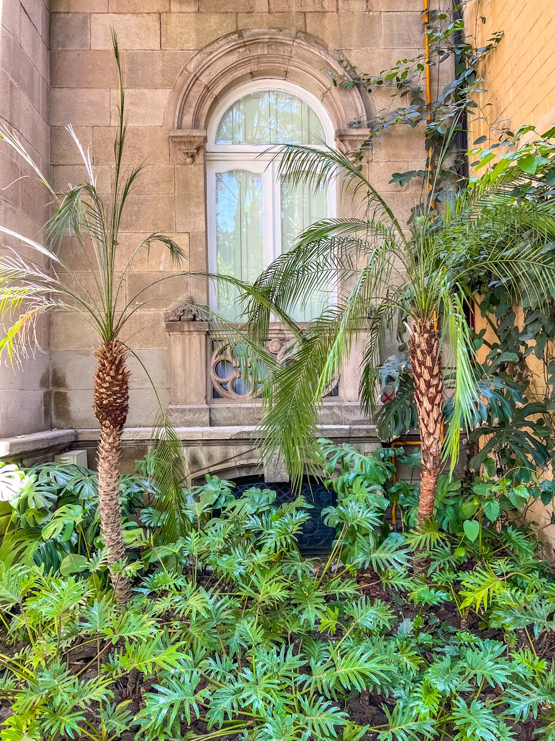 Ultimate Self-Guided Tour of Trendy Roma Norte in Mexico City - The ...