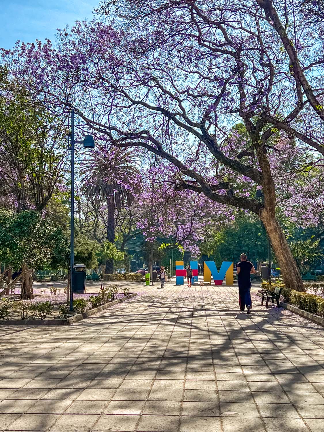 Self Guided Walking Tour of the Upscale Streets of Polanco: The City's ...
