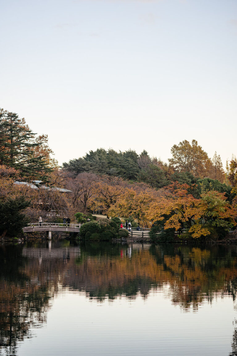 A Complete Guide to the Beauty and Diversity of Japan’s Amazing 72 ...