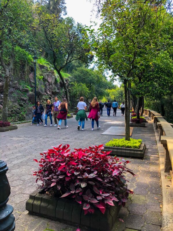 Ultimate Guide to Chapultepec Park: Historical and Cultural Heart of ...