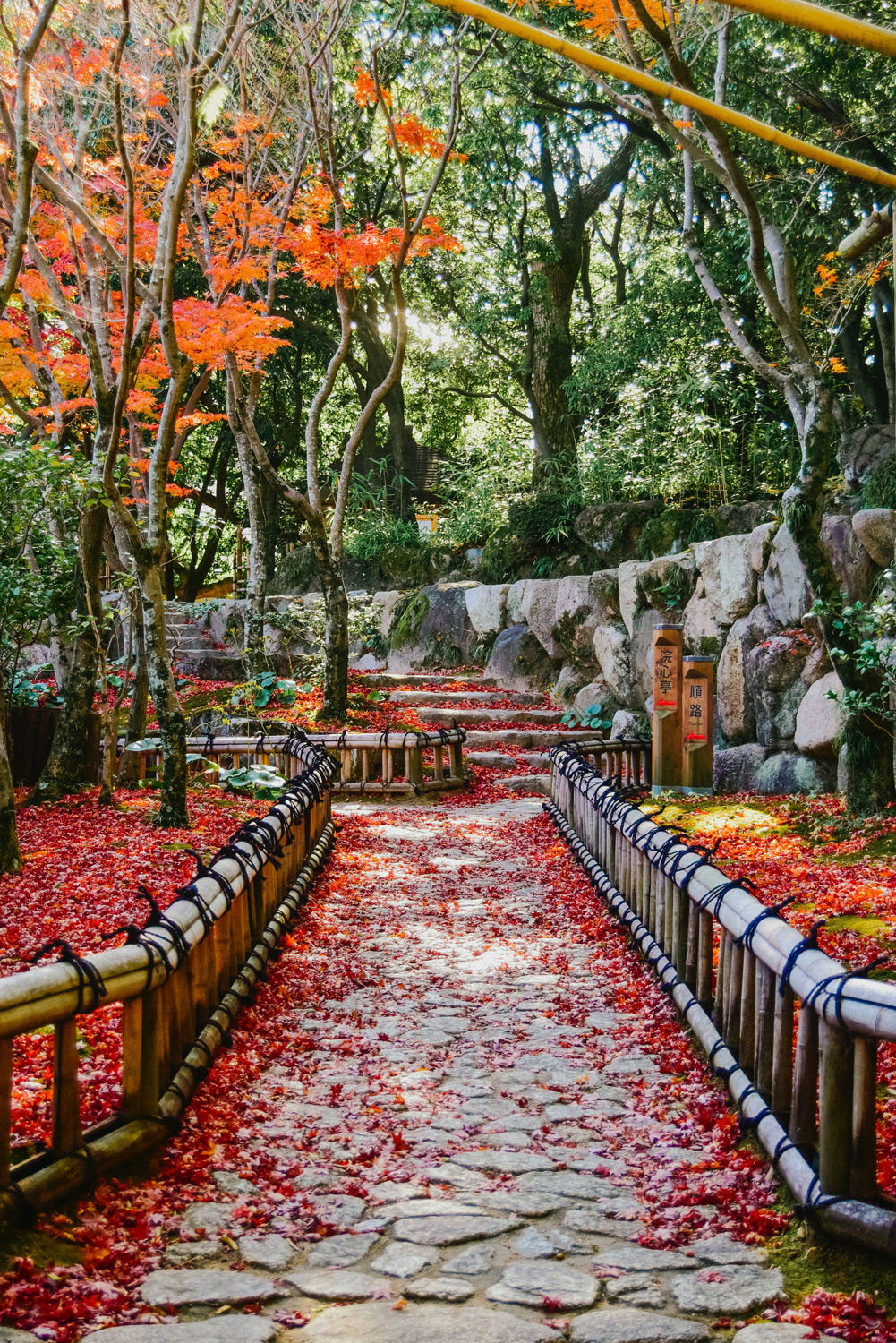 A Complete Guide to the Beauty and Diversity of Japan’s Amazing 72 ...