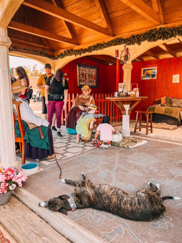 The Ultimate First Timer’s Guide to the Renaissance Festival - The ...