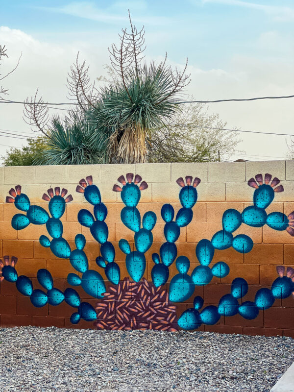Explore Phoenix’s Amazing Attractions: 10 Epic Adventures for 2023 ...