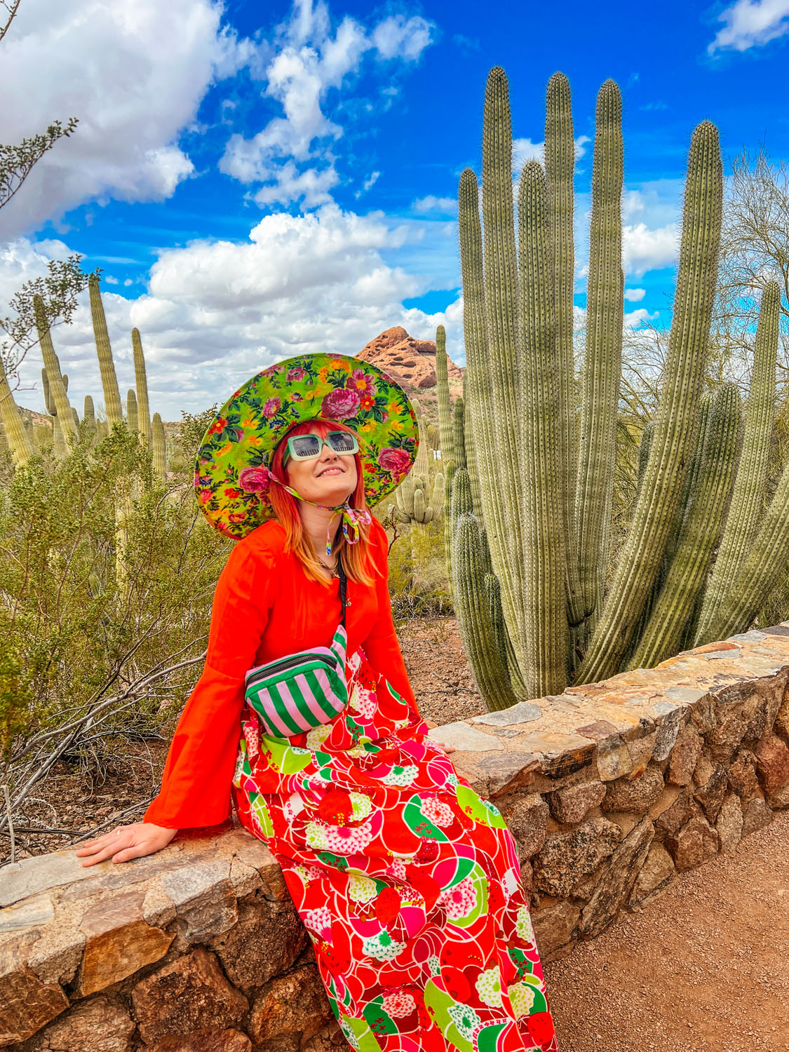 Explore Phoenix’s Amazing Attractions: 10 Epic Adventures for 2023 ...