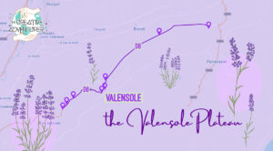 The Ultimate Guide to Exploring the Lavender Route in Provence: the ...