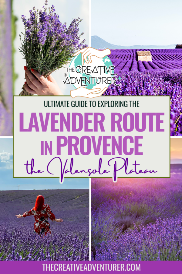 The Ultimate Guide to Exploring the Lavender Route in Provence: the ...